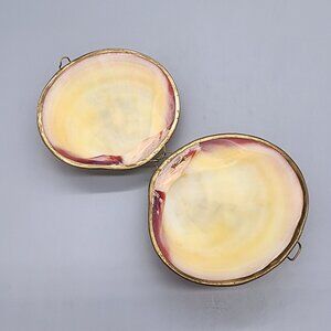 Bags | Vintage Clam Shell Purse Hinged Brass Frame Natural Shell Unique ...